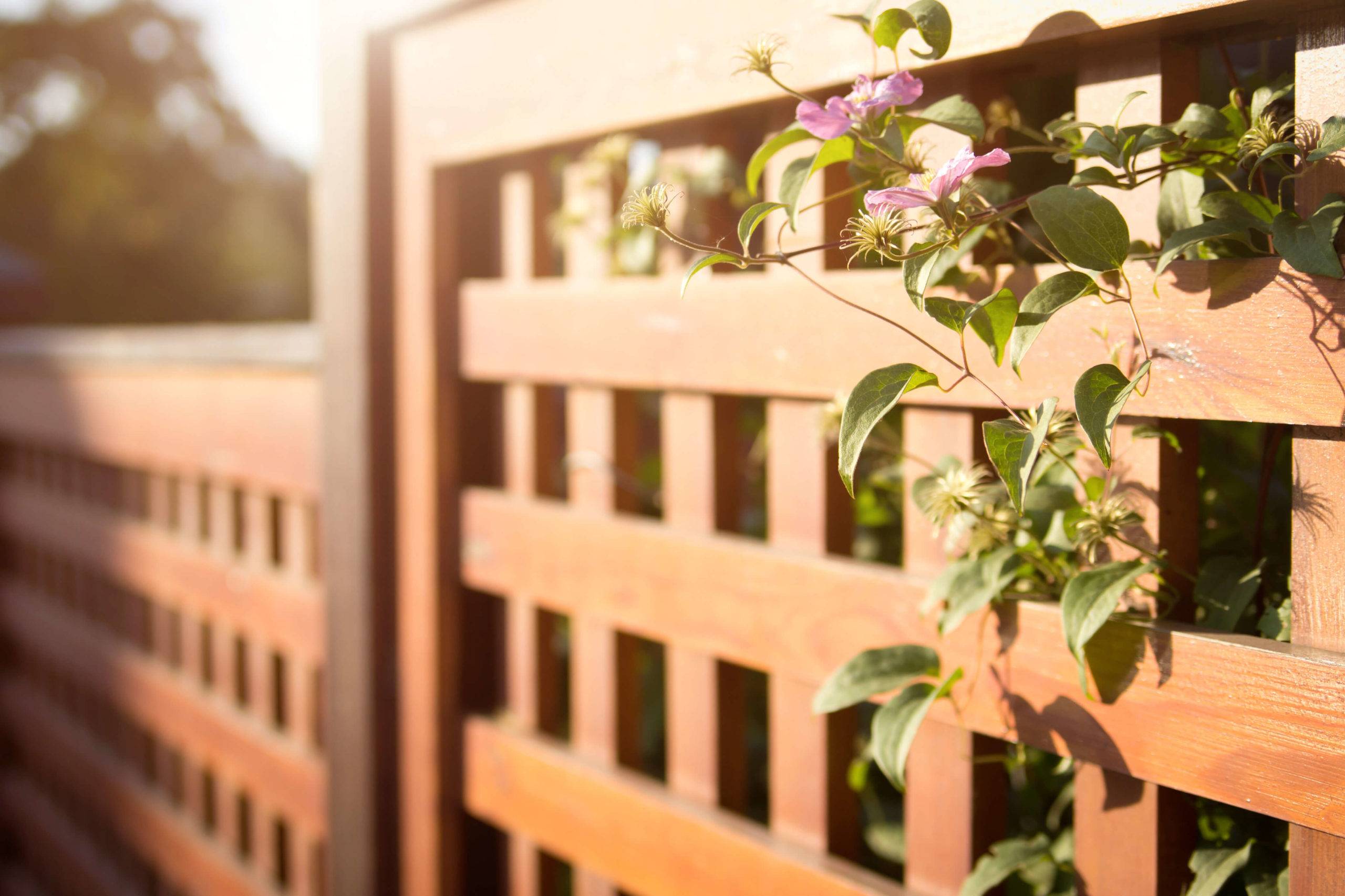 Garden Fencing Rules | Comply With the Garden Fence Law